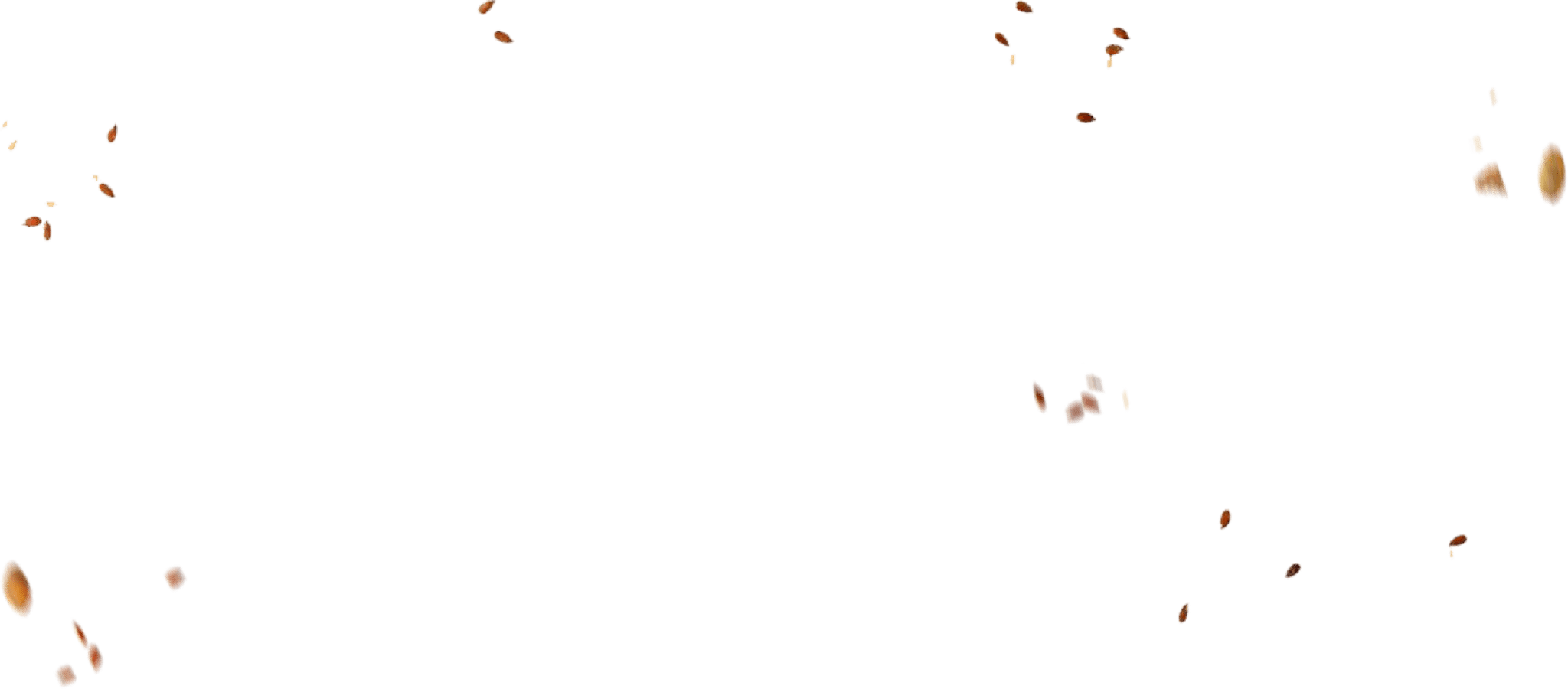 Mini Bite Bakery